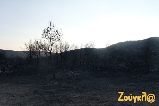 Κάηκαν 40.000 στρέμματα στην Κερατέα
