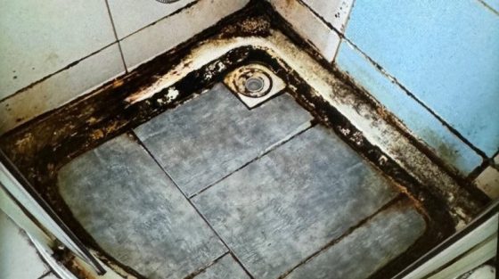 Παραπολιτικά - Zougla