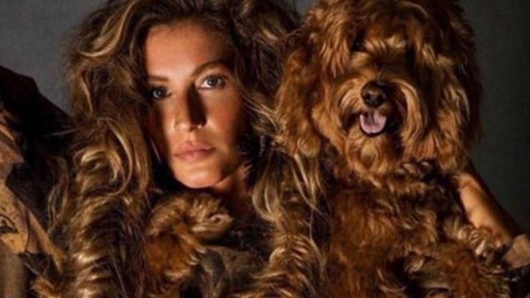 Φωτογράφιση-διαμαρτυρία της Gisele κατά της γούνας - Zougla