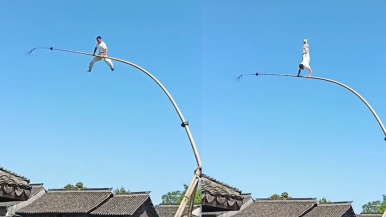 μπαμπού - Zougla