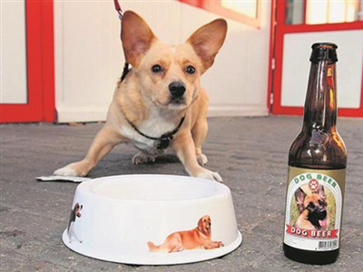 Στα ράφια η πρώτη... μπύρα για σκύλους - Zougla