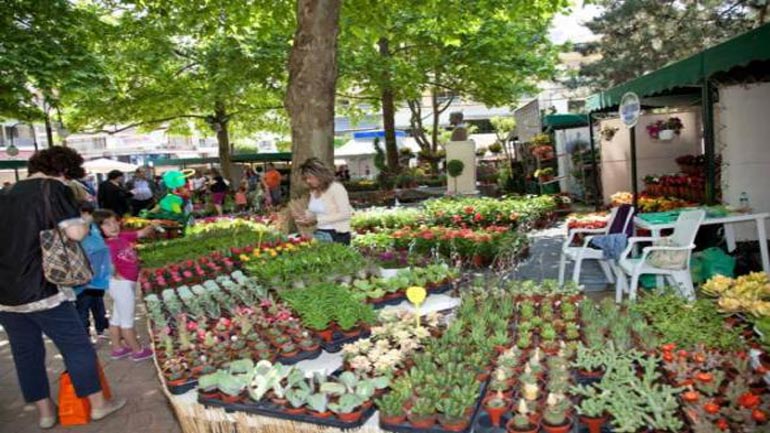 Αθήνα: Ανοιξιάτικη ανθοκομική έκθεση στην Πλατεία Κοτζιά - Zougla