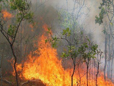 Υπό μερικό έλεγχο οι φωτιές σε Αλυκή Πάρου, Σχοινιά και Πύργο Ηλείας